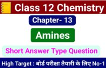 Class 12th History Objective & Subjective 2023 इतिहास कक्षा 12 All Chapter